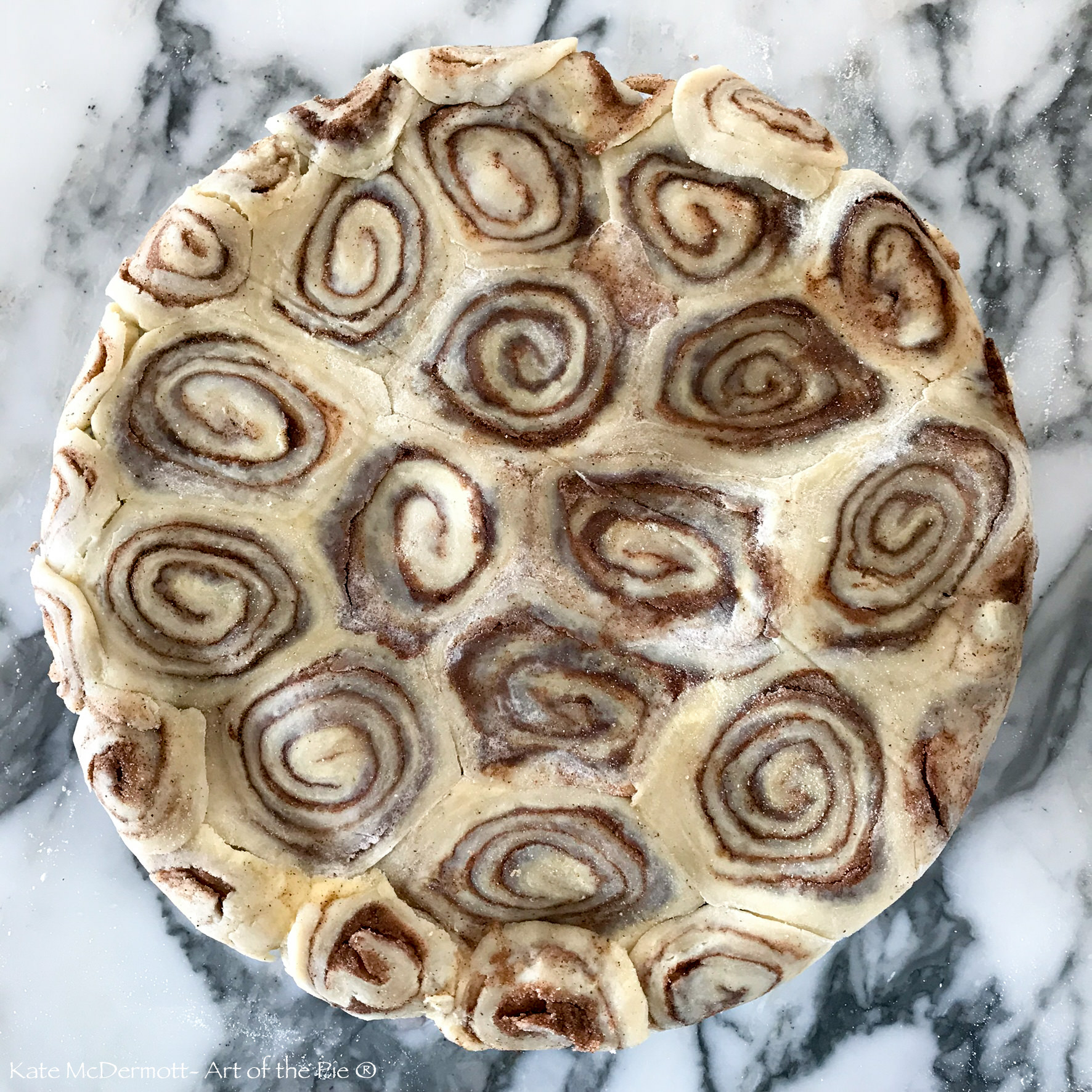 cinnamon_swirl_pie-0078 - Art of the Pie®